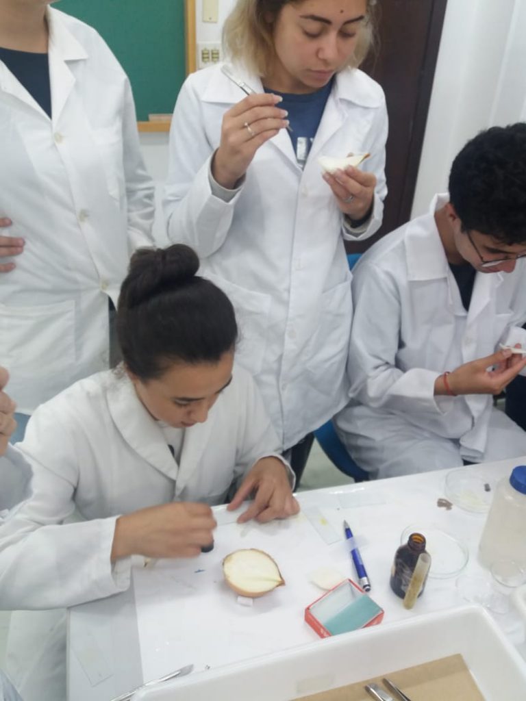 Conheça uma aula prática de Microscopia com Célula Vegetal | Uniandrade